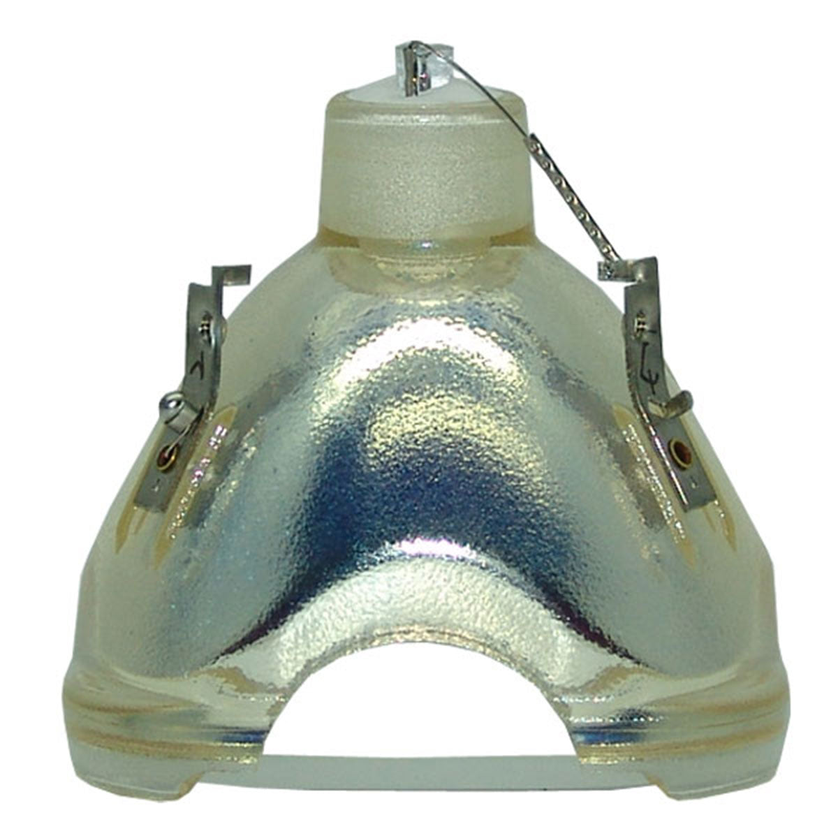 Barco R9841761 Philips Projector Bare Lamp– iprojectorlamp